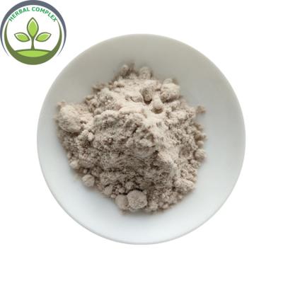 China Wholesale Ebony Powder/Dark Plum Fruit Powder In Bulk for sale