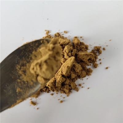 China Gmp Certificate Belvedere Fruit Extract For Purge for sale