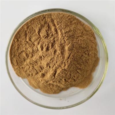 China Anti-inflammatory Cortex Phellodendri Extract for sale