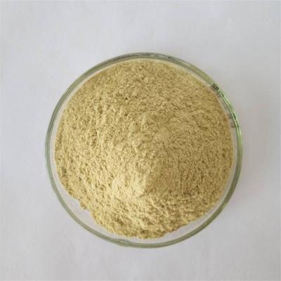 China GMP Factory Detoxification Mung Bean Sprout Extract for sale