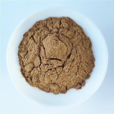 China Water Soluble Cinnamon Extract Powder In Bulk for sale