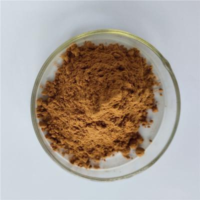 China Pharmaceutical Grade Atractylodes Extract For Purge for sale