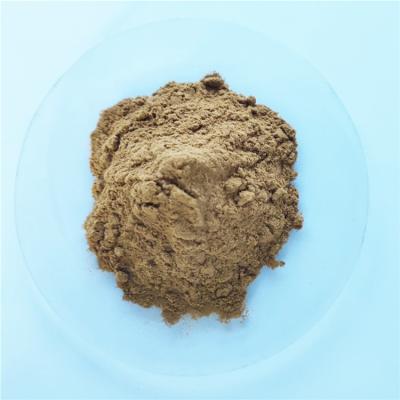 China Honeysuchle Flowers Extract From China Factory for sale