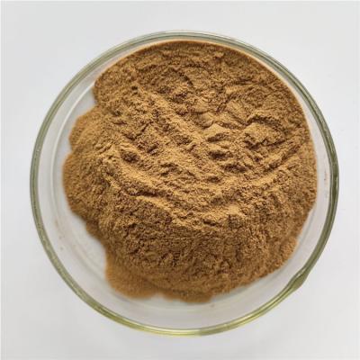 China China Wholesale Supplier Radish Seed Extract For Sale for sale