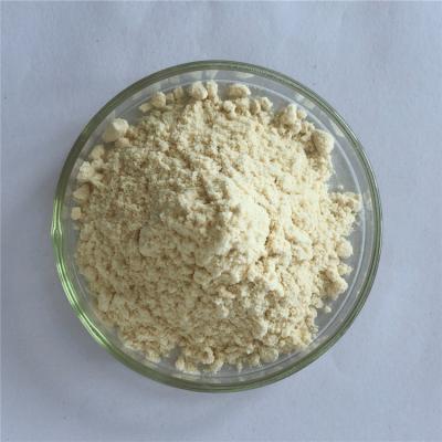 China Hot Sale Rosemary Leaf Extract From GMP Certificate for sale
