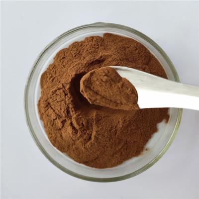 China Medicine Grade Great Burdock Fruit Extract For Sale for sale