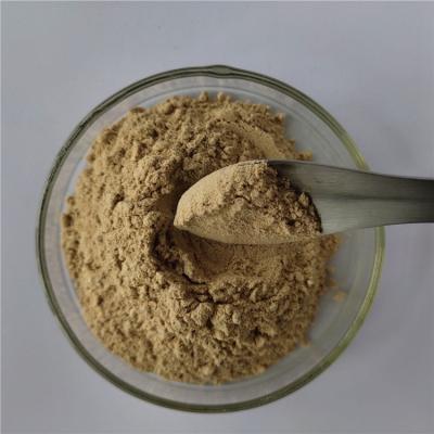 China Indian Bread Extract For Anti Cancer Capsules for sale
