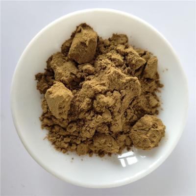 China gmp energy supplement white tea extract in bulk stock for sale