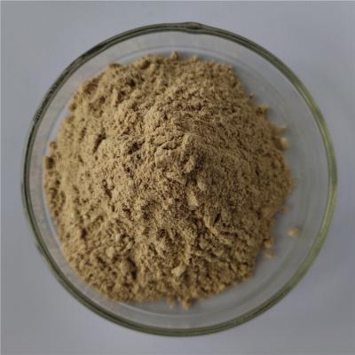 China wholesale antioxidants softgel capsules graviola extract with best price for sale