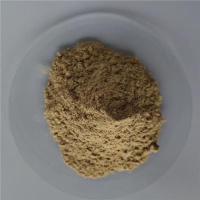 China gmp health care product Extract nardostachys jatamansi with best price for sale