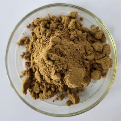 China wholesale calm the nerves tamarind extract for capsule for sale