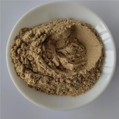 China health care product nutrition supplement fucoxanthin powder for sale