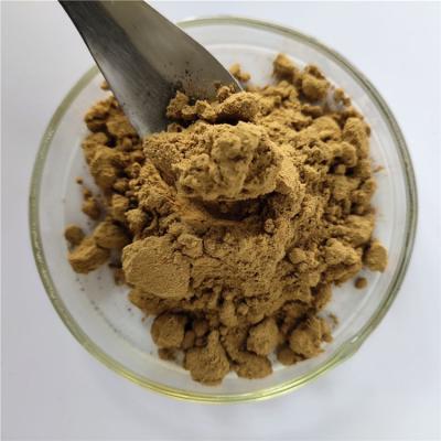 China wholesale health care product Martin corsage extract in bulk for sale