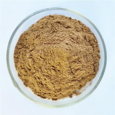China 100% pure natural organic Microcos paniculata extract for capsules for sale