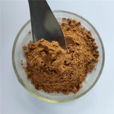 China Burnet extract/sanguisorba officinalis root extract for immune anti-fatigue for sale