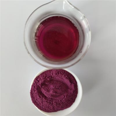 China 25% Proanthocyanidins Cranberry Extract Pac for sale
