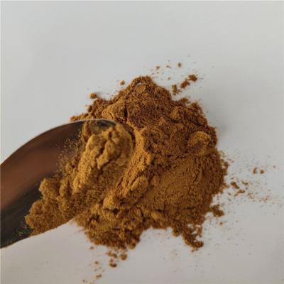 China Extract Herbal Wild Mango Seed Extract Powder for sale