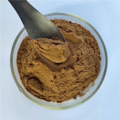 China wholesale health care product Chinaberry fruit extract in bulk for sale