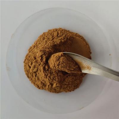 China best selling products extract parsnip for capsules for sale