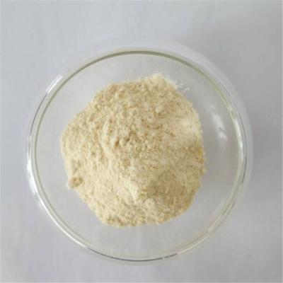 China China Manufacturer Anti Cancer Medicine Tretinoin Powder for sale