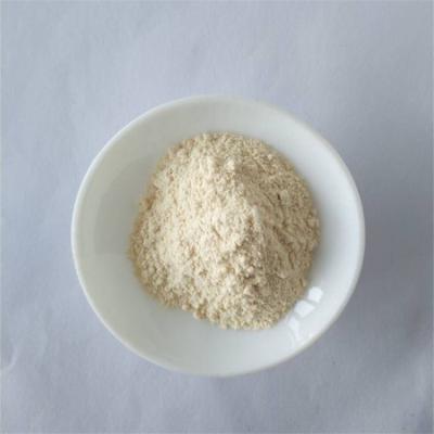 China Health Care Supplement Raw Material 99% Tretinoin Bulk for sale