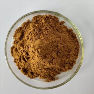 China Herbal Medicine Figwort Root Extract For Detoxification for sale