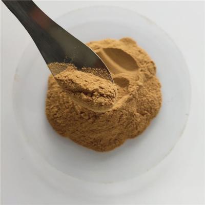 China Gmp Certificate Manufacturer Fennel Seed Extract for sale