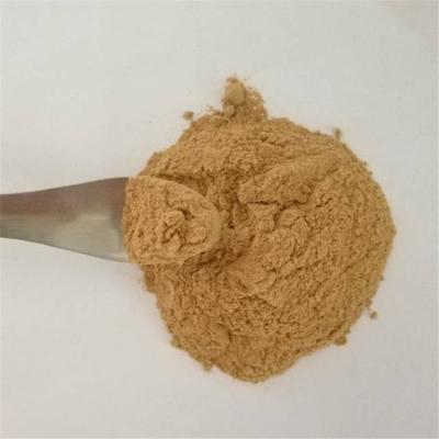 China gmp certificate low price lutein/zeaxanthin tablets with best price for sale