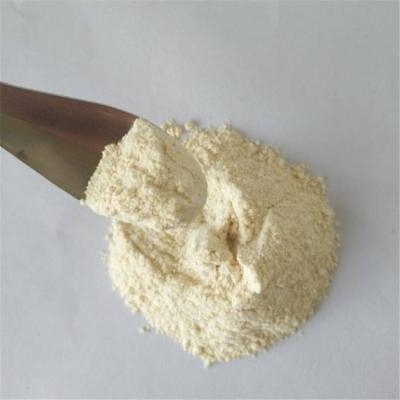 China Hot Sale garcinia cambogia 60% to lose weight for sale