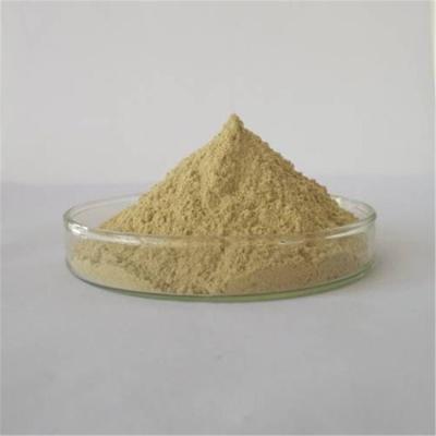 China Weight Loss Products Antirheumatic Ginger Powder Dried for sale