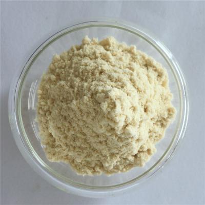 China Medicine Grade  Migraine Relief Sophora Japonica Extract for sale