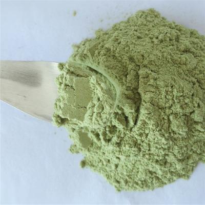 China Health Care Supplement Organic Spinach Powder In Bulk for sale