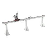 China 5000N Cantilever 3-Axis Gantry Robot Linear Track for Palletizing for sale
