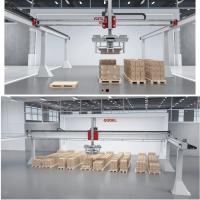 China 5000N Cantilever 3-Axis Gantry Robot Linear Track for Palletizing for sale