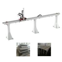 China 5000N Cantilever 3-Axis Gantry Robot Linear Track for Palletizing for sale