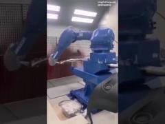 Industrial Robot