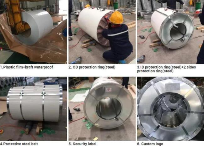 Hot Rolled Pre-Galvanized Color Coated Roll Steel Ral 9030 Color Coated Coil Importer PPGL Aluzinc Building Material PPGI Corrugated Roof Sheet Color Steel Coil