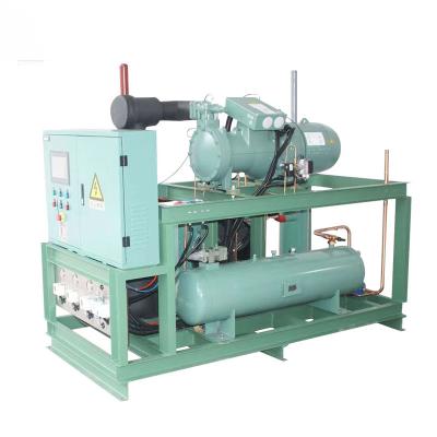 China Metal Twisting Parallel Setup Biaxial Screw Unit for Fastening for sale