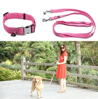 China dog leash for sale