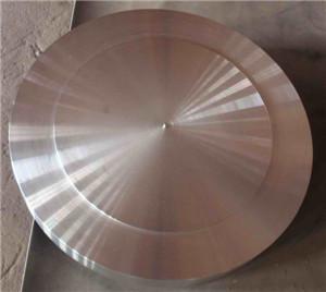China Alloy 800HT Incoloy 800HT N08811 1.4959 WN SO Blind flange forging disc ring for sale