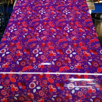 Cina bobine d'acciaio galvanizzate preverniciate 0.12mm Ppgi per la decorazione di costruzione in vendita
