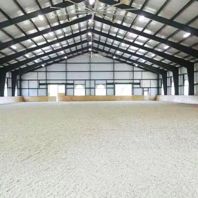 Cina 200x400 Arene per cavalli al coperto Kit acciaio Arene per equitazione al coperto in vendita