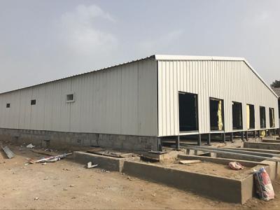China Customized Steel Structure Poultry House Painted Low Cost Steel Poultry Shed ISO9001 for sale