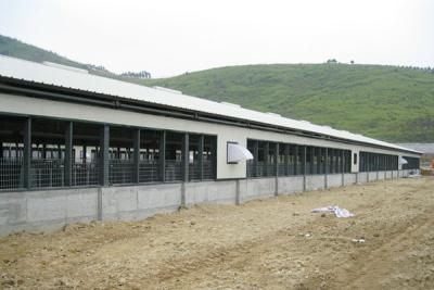 China Prefab Steel Structure Poultry House Customized Size / Layout Prefabricated Chicken Houses for sale