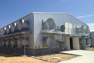 China Q235 Steel Structure Poultry House Construction , Light Steel Frame Chicken House for sale