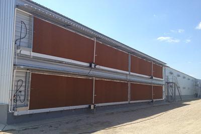 China Pre Engineered Steel Chicken House Q355B Steel Structure Poultry Sheds for sale