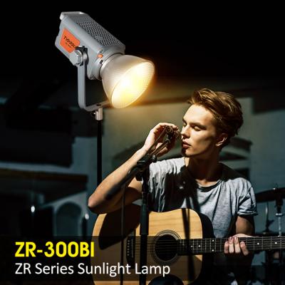중국 공장 가격 ZR-300BI Yidoblo 300W 플래시 라이트 스트로브 LED 라이트 플래시 라이트 스트로브 LED 시스템 (Bowens 마운트 포함) 판매용