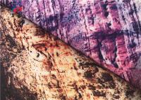China Waterproof Print Polyester Spandex TPU Softshell Fabric 360gsm 155cm for Outdoor Jacket for sale