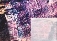 China Waterproof Print Polyester Spandex TPU Softshell Fabric 360gsm 155cm for Outdoor Jacket for sale