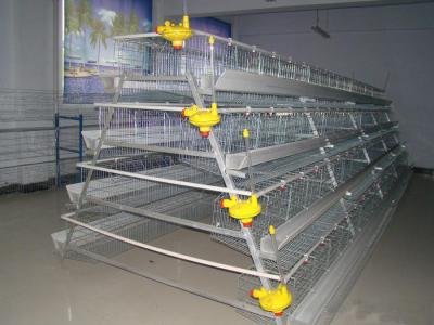China Poultry Cage for Layer Chicken Farm for sale